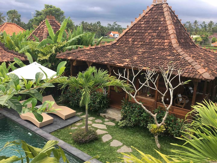 Merpati Private Villa - 烏布