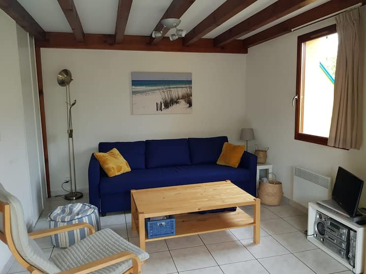 Pomme Des Landes - Contis-Plage