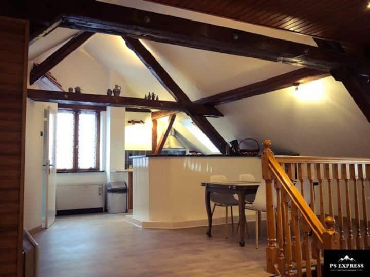 Logement De Charme Alsacien, Proche De Strasbourg - Bas-Rhin