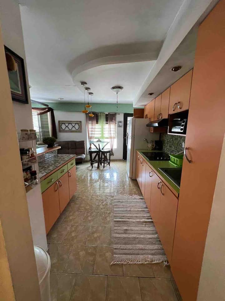 Sweet Leaf |Charming Apartment In Central Mayagüez - Mayagüez
