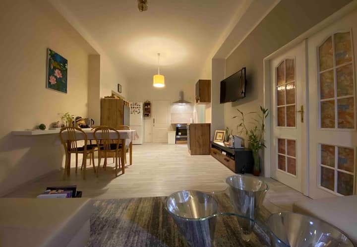 Mimi Room （City Center + Vltava+quite) - Praga