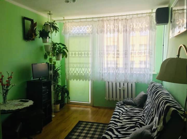 Kołobrzeg - Samodzielne Mieszkanie - Kolberg