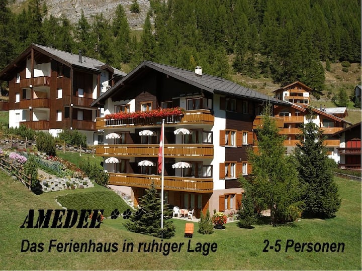 Amedee 1, Close To The Ski Area - 5 Pax - 薩斯費