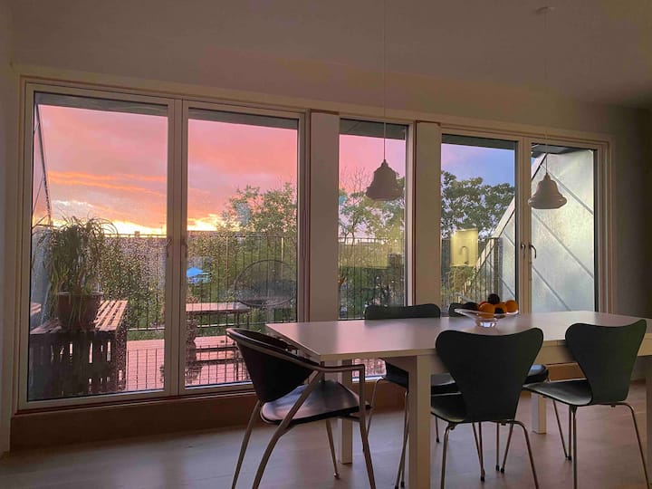 Penthouse Lejlighed Med Tagterrasse Og Udsigt - Copenhage