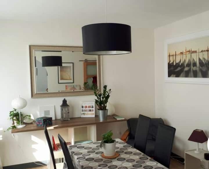 Appartement Lumineux Proche Mer & Lycée Naval - Camaret-sur-Mer