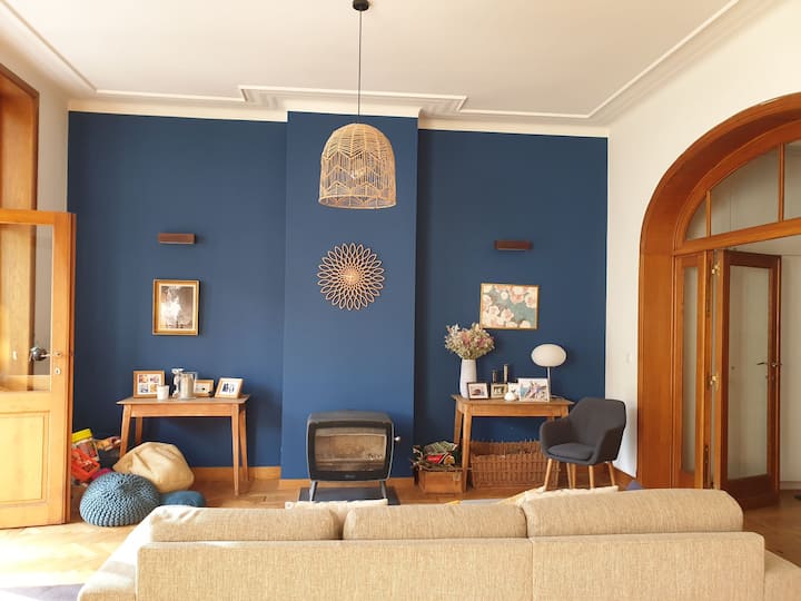 Grand Appartement Avec Jardin - Brussels