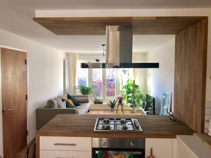 Big 1 Bedroom Flat In Haggerston/shoreditch. 50sq - London