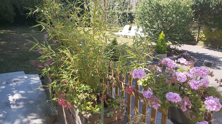 Appartement Avec Jardin - Château-Thierry