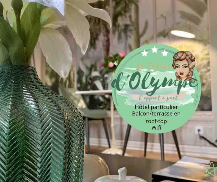 Le Balcon D'olympe Avec Roof Top En Hypercentre - Montauban