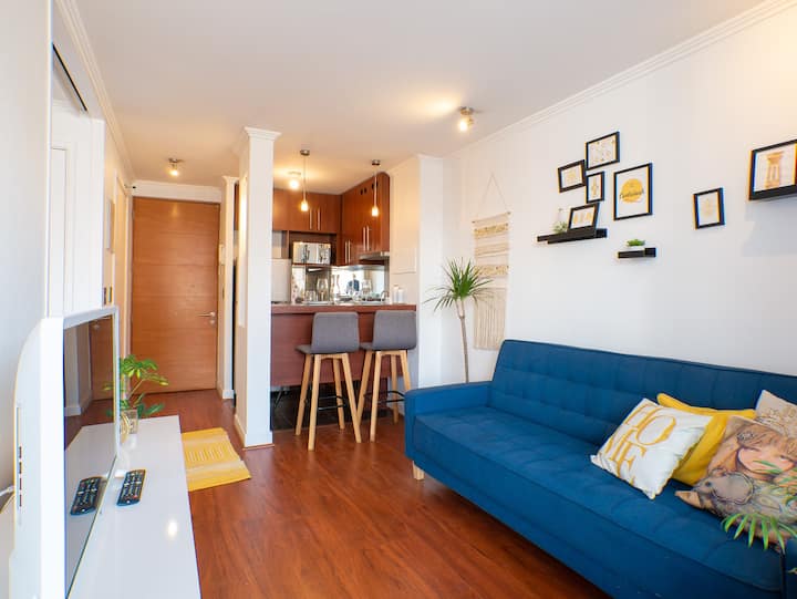 Amazing Apt, Great Location,  Ac Y Estacionamiento - Providencia