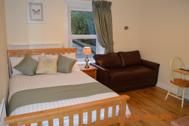 Amazing Studio - City Ctr 10 Min, Phoenix Pk 8 Min - Dublin