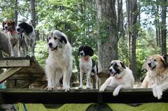 11 Romantic Getaways Near St. Louis, Missouri - Updated 2025 | Trip101