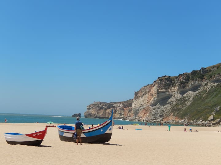 Rocha Linda Mer à 40 M 1er Appart  80 M2-wifi 250 - Nazaré