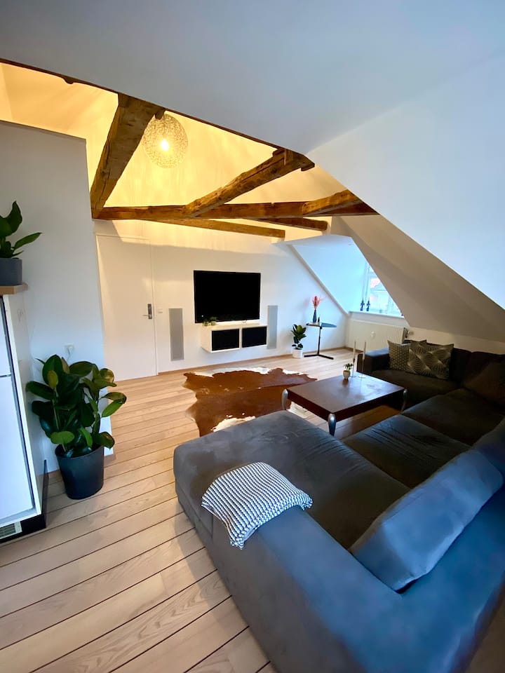 Penthouse In The Heart Of Aarhus, With Balcony🧸💛 - Aarhus