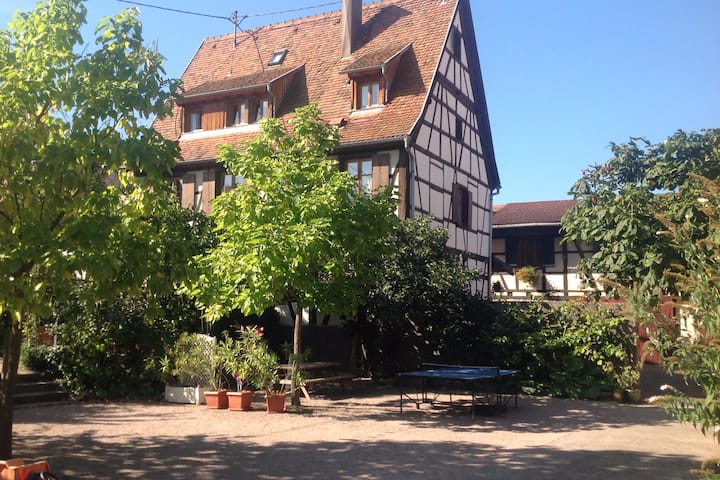 Charme Alsacien Entre Colmar Et Strasbourg - Dambach-la-ville