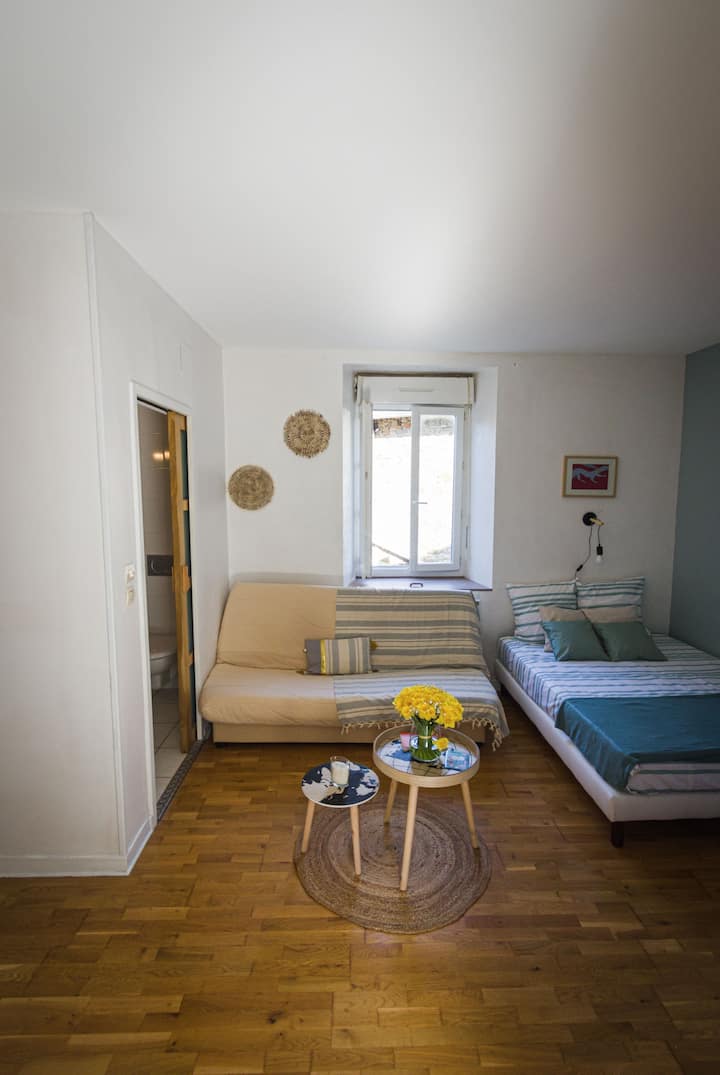 À 50m De La Mer, Près Des Remparts, Gare Tgv+ferry - Grand-Bé