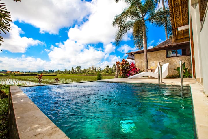 Breathtaking, New Villa Wisnu Ubud, Aircon & Pool - Bali