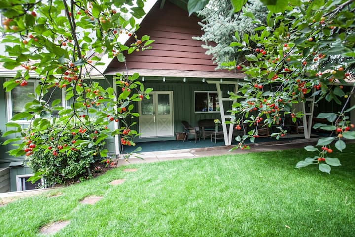 It's Snowing! 2br/1bth Gem On The River! - Snowmass, CO