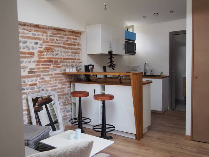 Charmant Appartement à St Cyprien - Toulouse