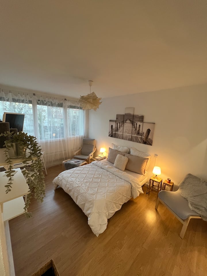 Charmant Studio Meublé 3* Wifi - Chamalières