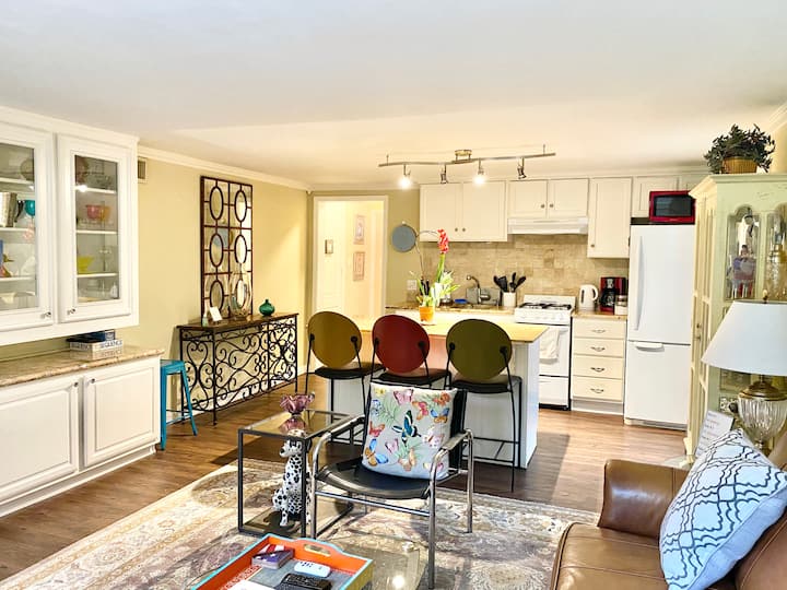 Texas Size Hospitality Beautiful Guest Suite - Houston, TX