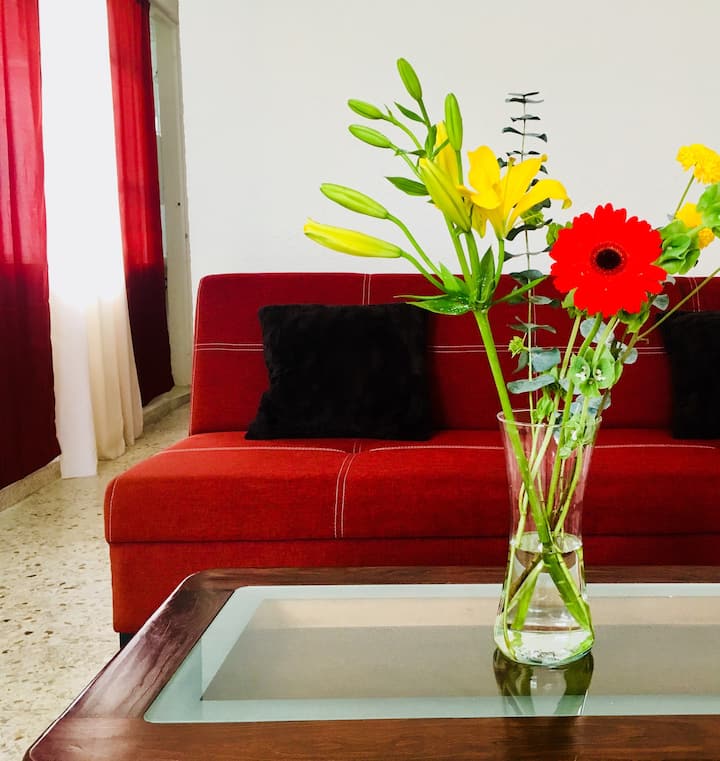 Loft Lirio. Cocina / Sala / Baño / Wifi - Toluca
