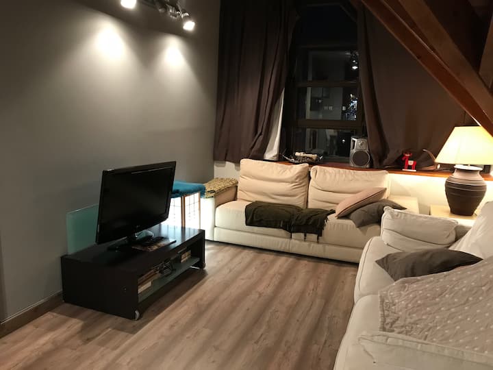 Apartamento En Viella Valle D´aran - Salardú