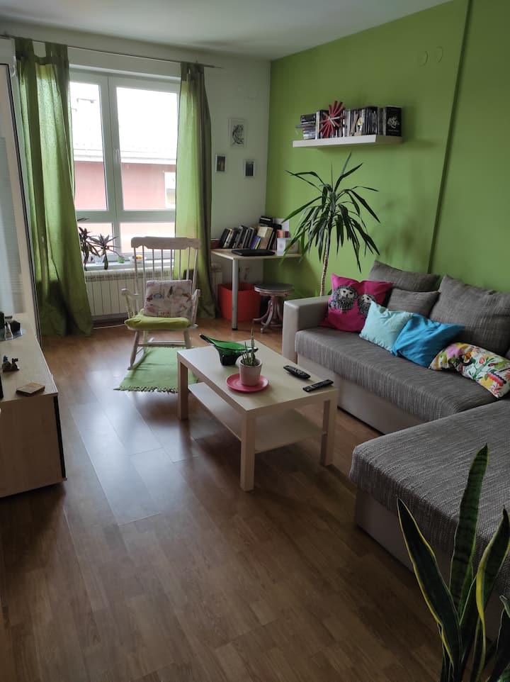 Divan Stan U Najlepsem Naselju U Kragujevcu - Kragujevac