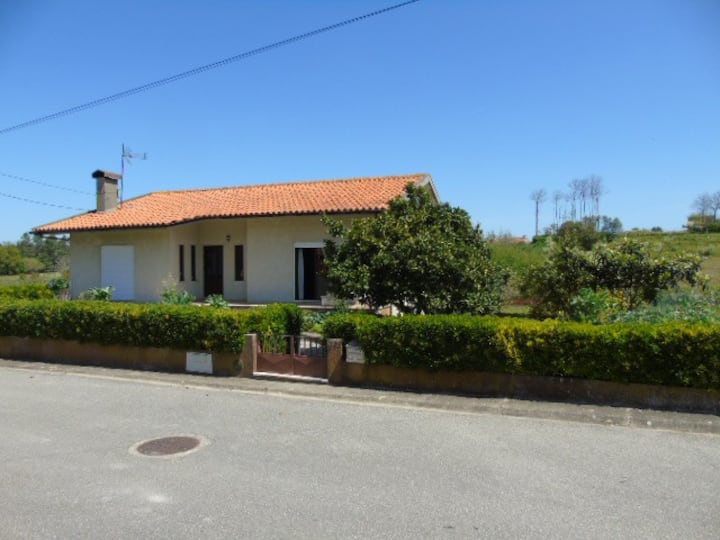 Country House - Oliveira do Bairro