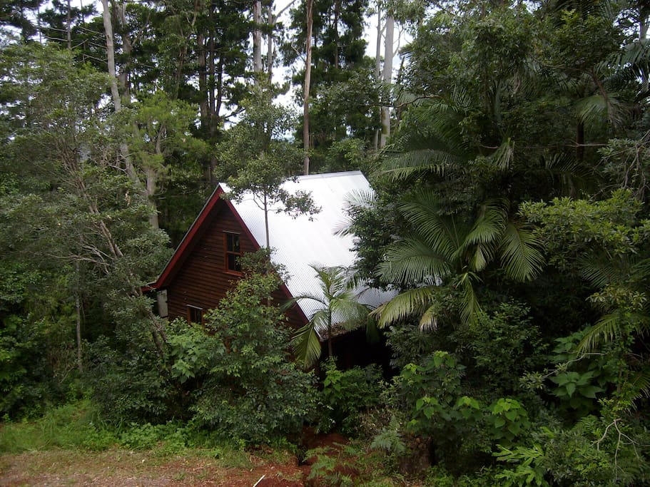 Romantic Cottage in Mount Glorious - Cottages for Rent in Mt Glorious ...
