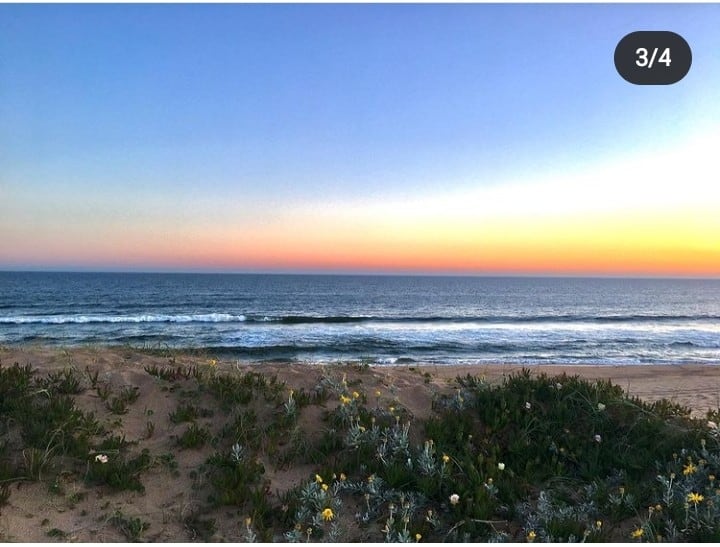 Dome House In The Forest Next To The Beach - Sauce de Portezuelo