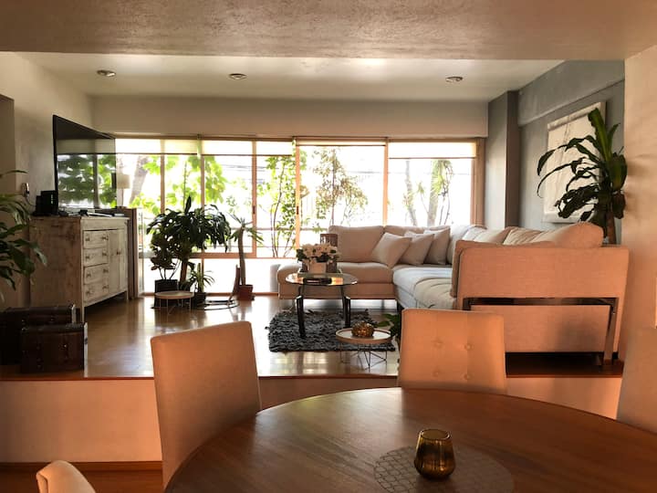 Anzures/polanco,great Location W Private Garden! - Messico