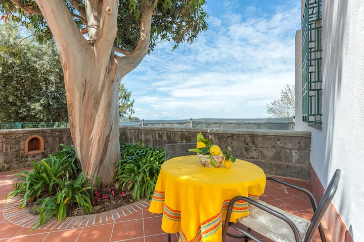 Sorrento Dreamlike View Between Lemons And Sea - Piano di Sorrento
