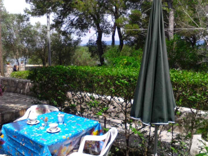 Ap Palma- Near The Forest And Sea - Jelsa