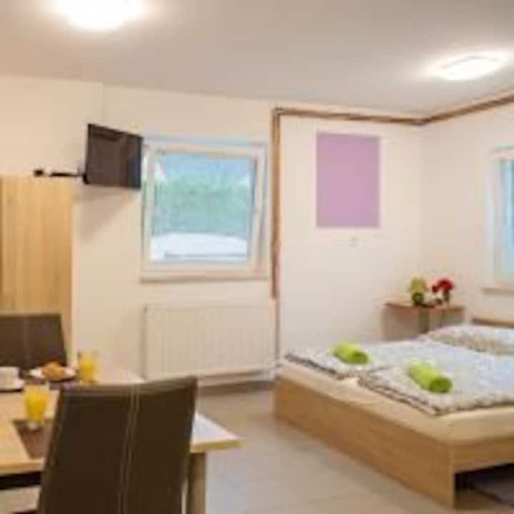 Duo Apartment In Ljubljana - Liubliana
