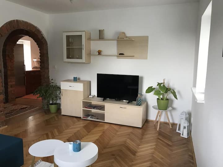 Stylish Cosy And Comfort Apartment - Dino - Maribor