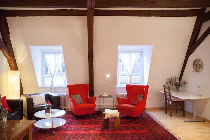 Appartement Confortable Dans La Vieille Ville - Heidelberg