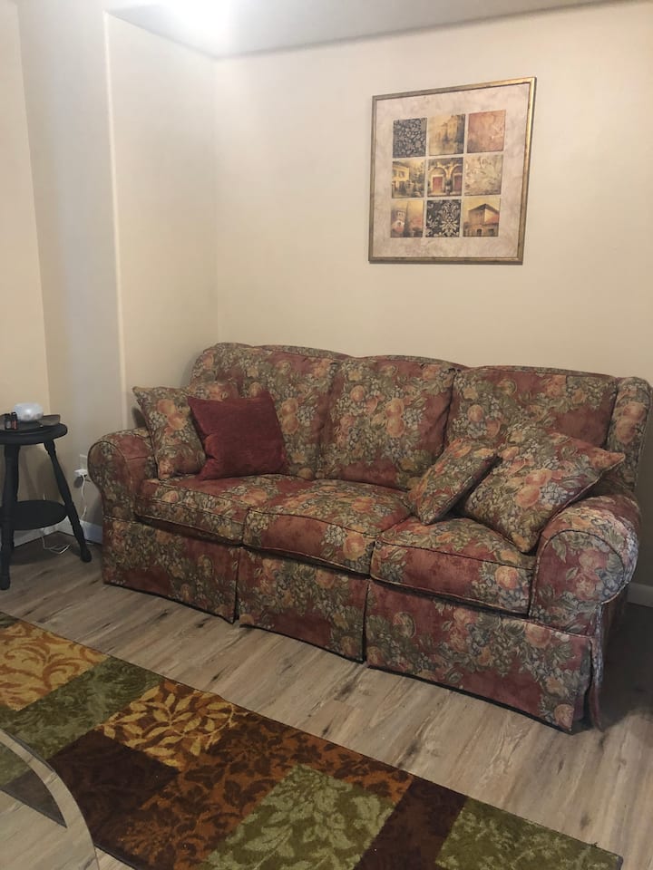 Bright, Cozy 1 Bd Apt. Close To Downtown & Sanford - Sioux Falls, SD