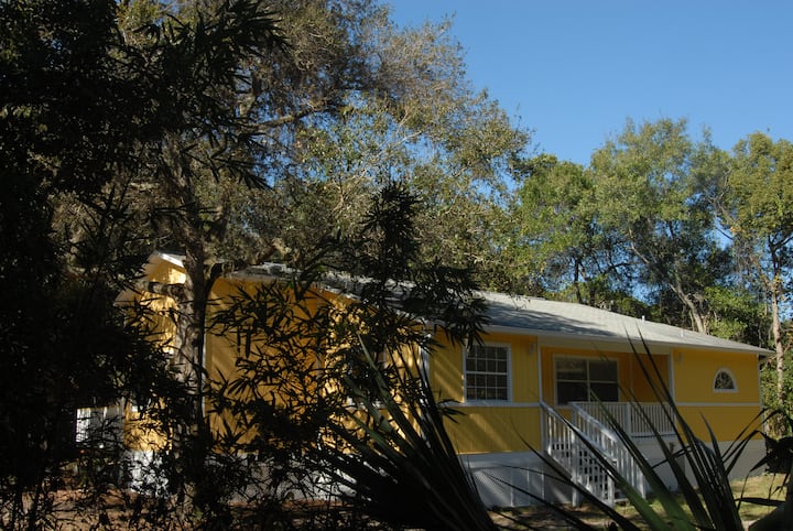 Beautiful Secluded Home Off Private Road! - Tarpon Springs, FL