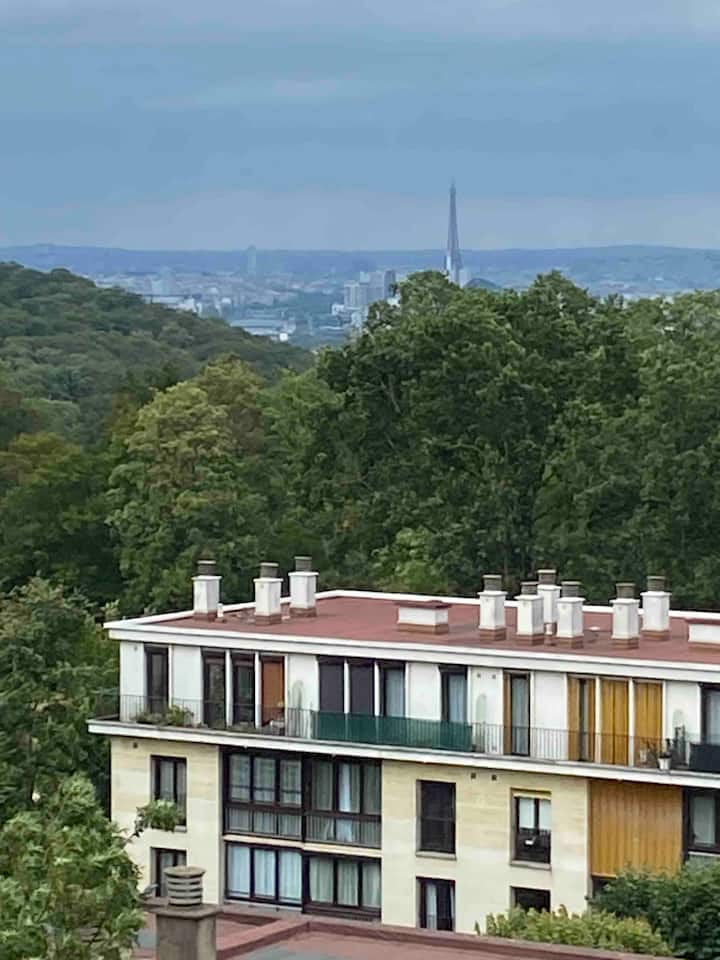 Charmant T3 Moderne - Châtenay-Malabry