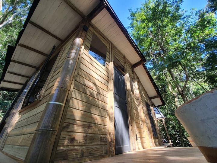 The Evas Forest - Petrópolis