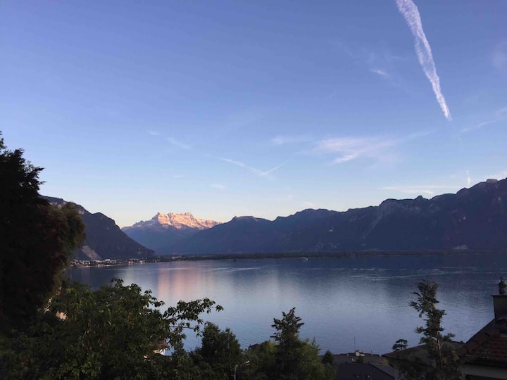 Lake View - Montreux