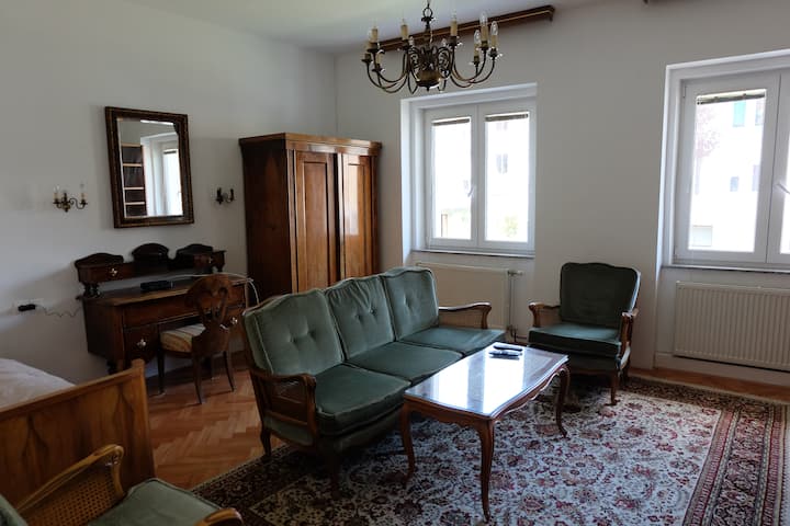 Vila Apartment Pinta Pika 1 - Ljubljana