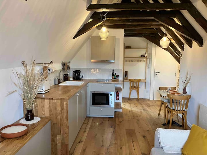 Cosy Studio Centre Dijonnais - Dijon