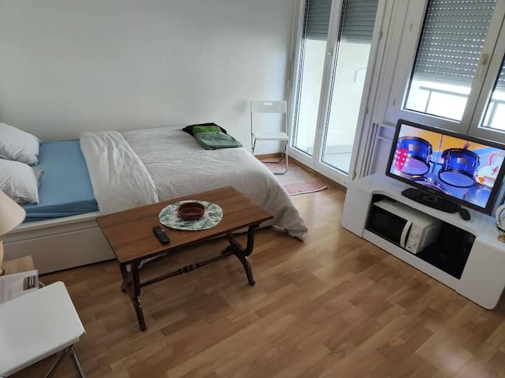 Studio Avec Balcon - Ginebra