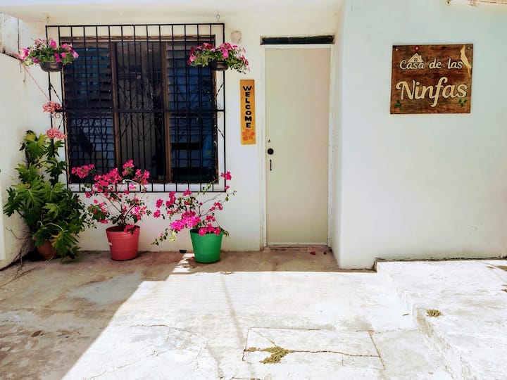 Casa De Las Ninfas - カンクン