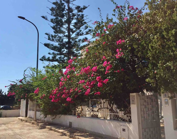 Appartamento In Villa A San Vito Lo Capo - San Vito Lo Capo