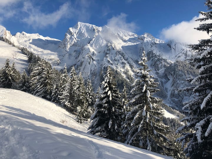 T2 Aux Pieds Des Pistes & Commerces - Manigod
