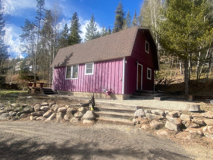 Cozy 3-bedroom Cabin In The Trees. - Copper Mountain, CO
