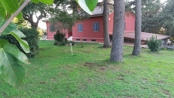 Grande Villa Con Piscina. - Viterbo